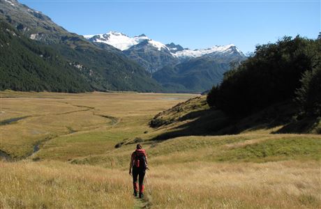 Rees-Dart Track: Mount Aspiring National Park, Otago region