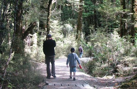 Blue Pools Track: Mount Aspiring National Park, Otago region