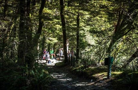 Rob Roy Track: Mount Aspiring National Park, Otago region