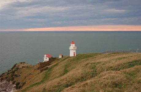 Taiaroa Head Nature Reserve: Places to go in Otago