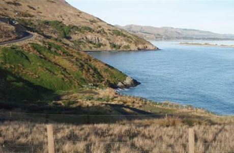 Taiaroa Head Nature Reserve: Places to go in Otago