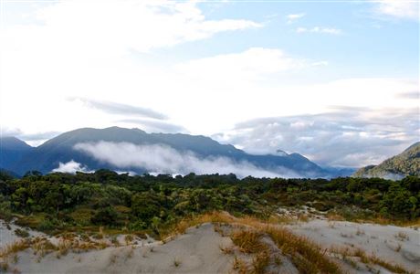 Hollyford Track: Fiordland National Park, Fiordland region