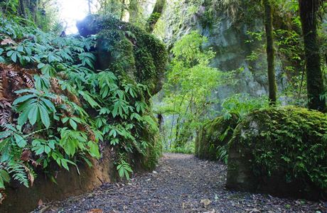Mangapohue Natural Bridge Walk: Waitomo area, Waikato region