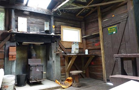 Bog Inn Hut: Pureora Forest Park, Waikato region