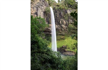 Waireinga/Bridal Veil Falls: Raglan area, Waikato region