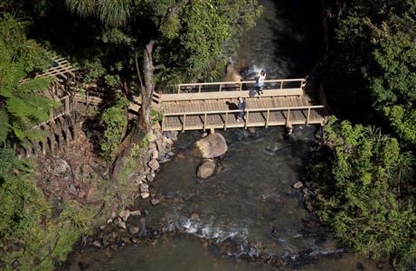Waireinga/Bridal Veil Falls: Raglan area, Waikato region