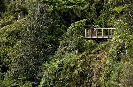 Waireinga/Bridal Veil Falls: Raglan area, Waikato region