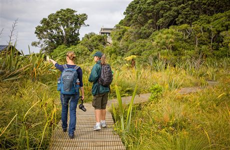 Kapiti Island tracks and walks: Kapiti Island Nature Reserve, Kapiti region