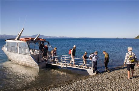 Kapiti Island Nature Reserve: Places to go in Wellington and Kapiti