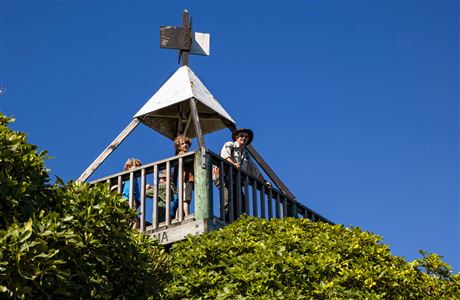 Kapiti Island tracks and walks: Kapiti Island Nature Reserve, Kapiti region
