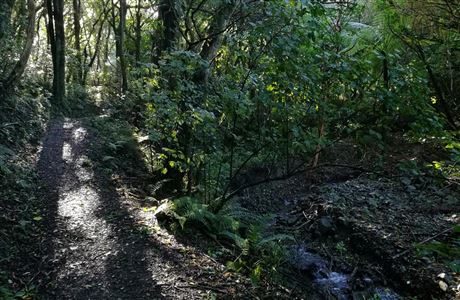 Colonial Knob Walk: Rangituhi/Colonial Knob Scenic Reserve, Kapiti region