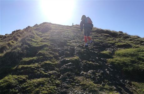 Colonial Knob Walk: Rangituhi/Colonial Knob Scenic Reserve, Kapiti region