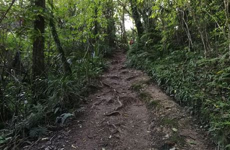 Parata Track: Waikanae area, Kapiti region