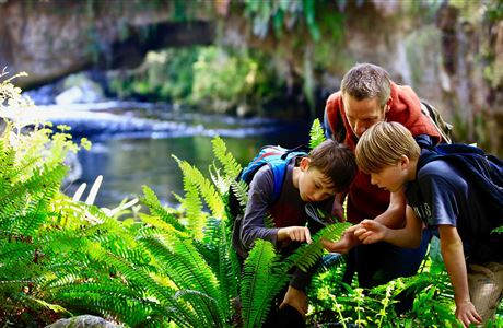 Department of Conservation