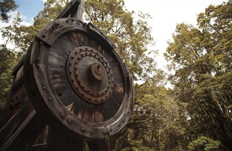 Paparoa Track: Paparoa National Park, West Coast
