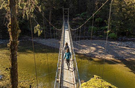 Paparoa Track: Paparoa National Park, West Coast