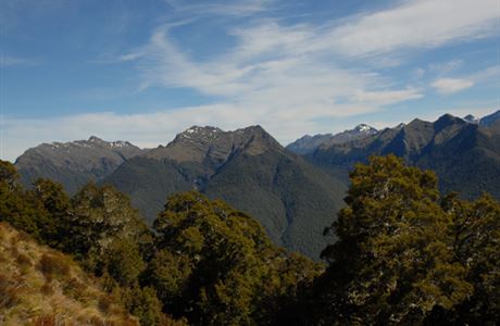 Victoria Forest Park: Places to go in the West Coast