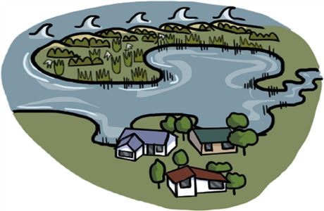 Protecting our estuaries: Education resources