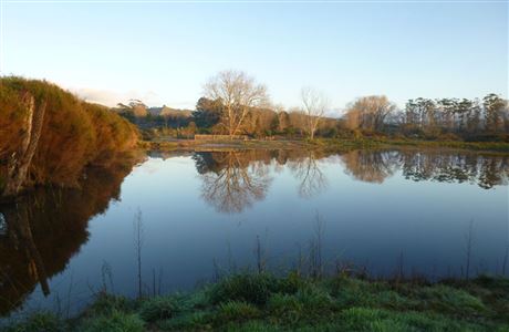 Freshwater: Habitats