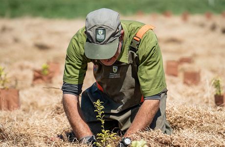 The Jobs for Nature projects: Jobs for Nature – Mahi mō te Taiao