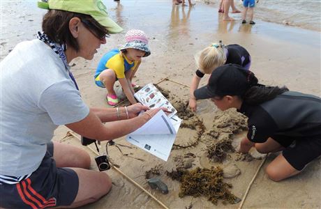 Conservation activities: Get involved