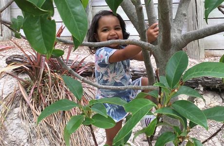 Conservation activities: Get involved