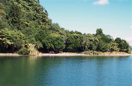 Lake Rotoiti and Lake Rotoma Scenic Reserves: Places to go in the Bay ...