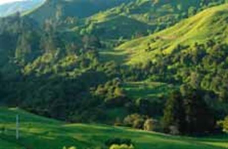Gisborne area: Places to go in the East Coast region