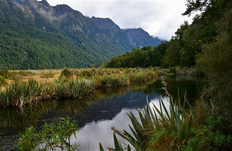 Freshwater: Habitats