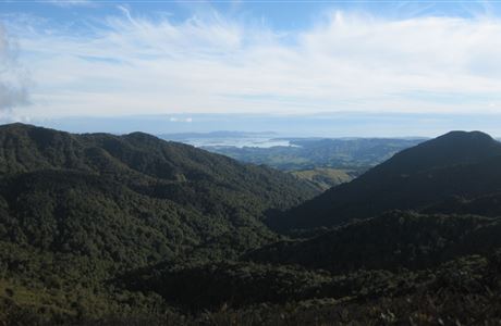 Pirongia Forest Park: Places to go in the Waikato region