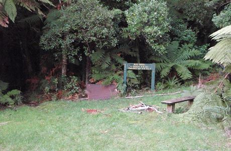 Pirongia Forest Park: Places to go in the Waikato region