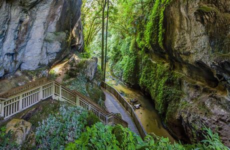 Waitomo area: Waikato