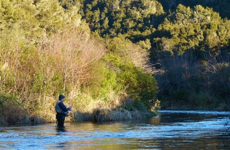 Features: Taupō Trout Fishery