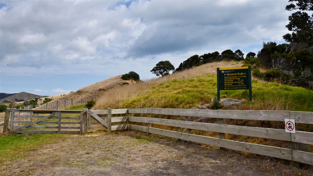 Muriwai Walk: Northern Coromandel, Coromandel region