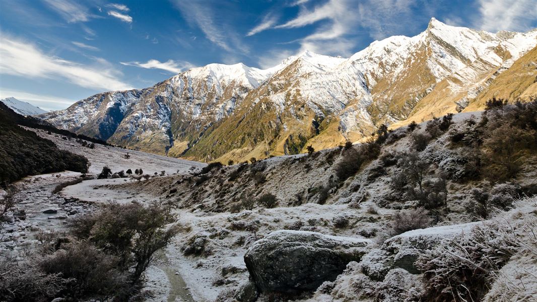 Matukituki Valley area: Mount Aspiring National Park, Otago region