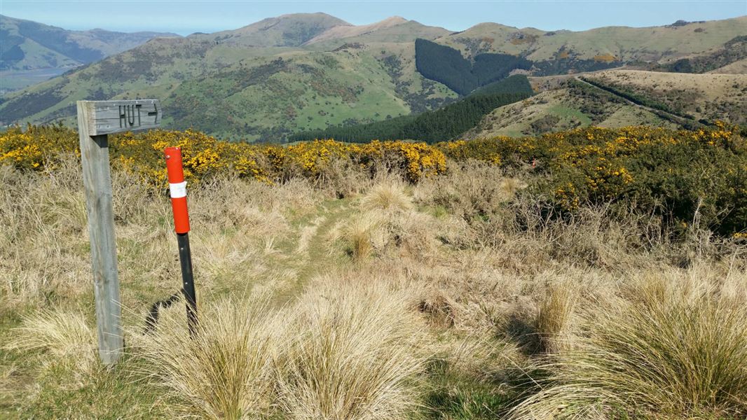 Port Levy Saddle to Rod Donald Hut: Walking and tramping in Banks ...