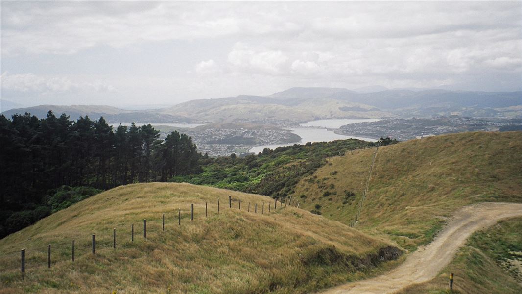 Colonial Knob Walk: Rangituhi/Colonial Knob Scenic Reserve, Kapiti region