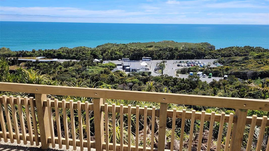 New Tracks To Explore In Punakaiki | The National Tribune