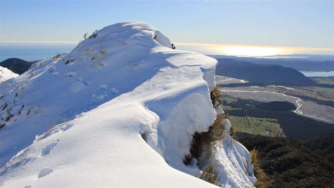 Alex Knob Track: Westland Tai Poutini National Park, West Coast region