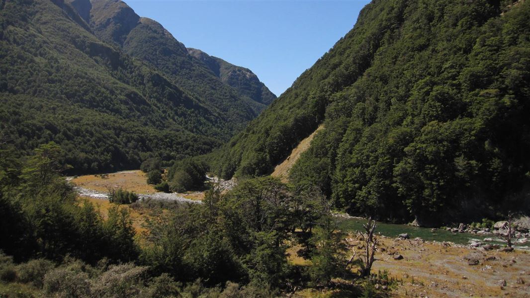 Greenstone and Caples tracks: Greenstone & Caples Conservation Areas ...