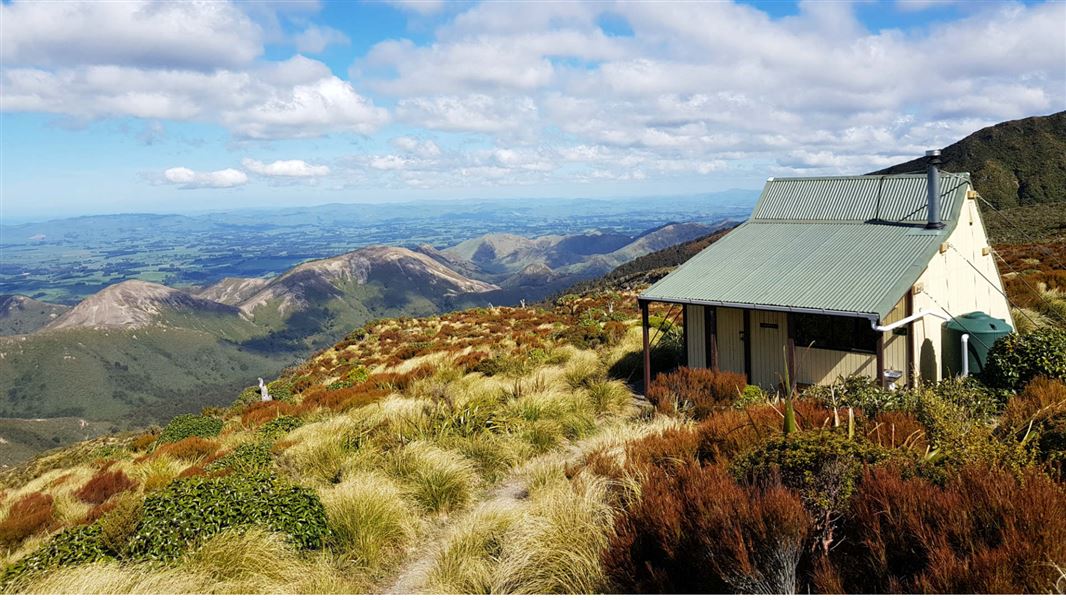 Longview Hut: Ruahine Forest Park, Hawke's Bay region