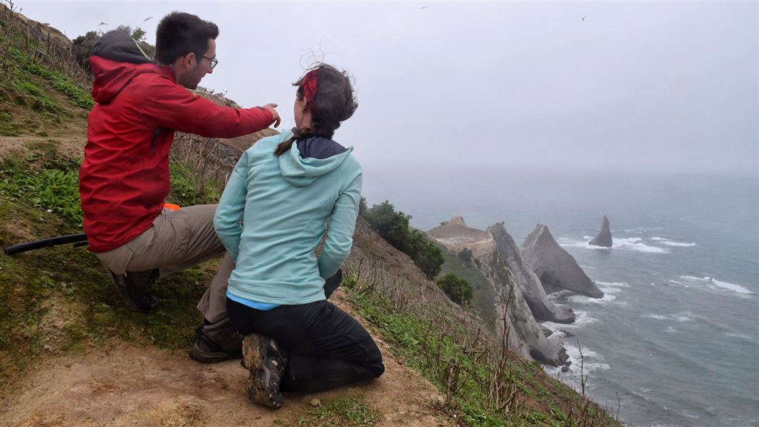 Cape Kidnappers Walking Track: Cape Kidnappers