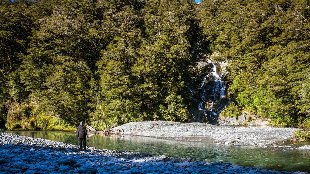 Brewster Track: Mount Aspriring National Park, West Coast region