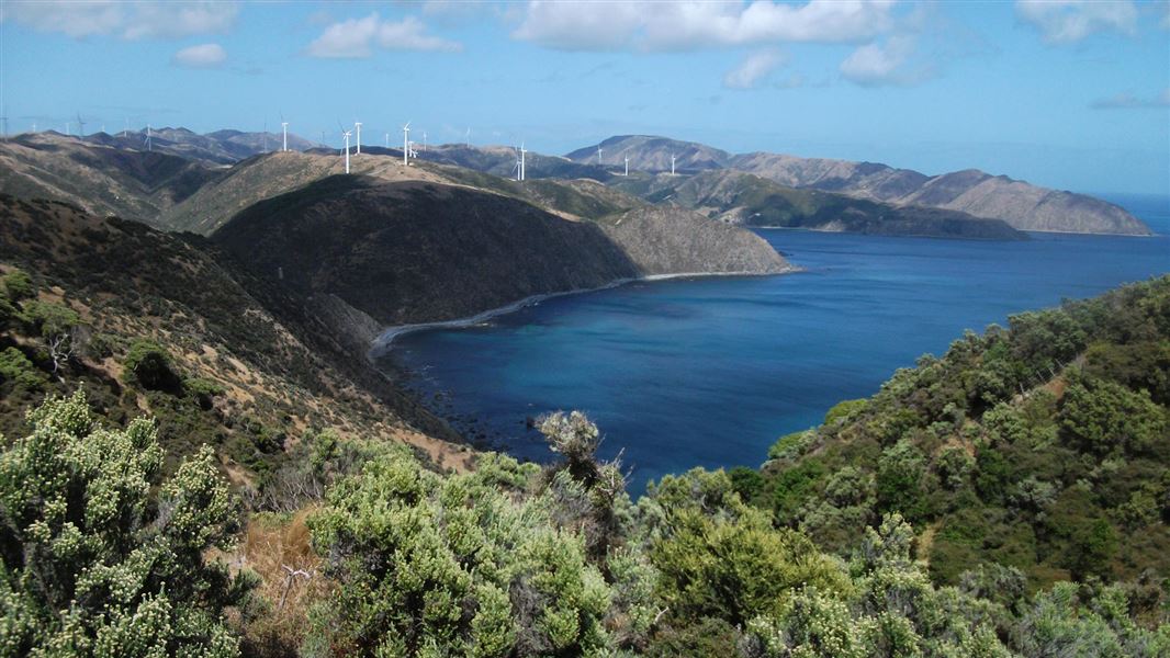 Makara Walkway: Mākara Beach area, Wellington region