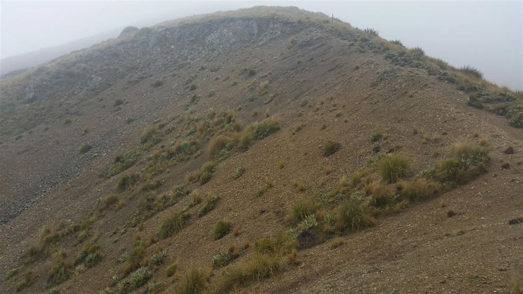 Mount Barrosa Track: Walking and tramping in Hakatere Conservation Park ...