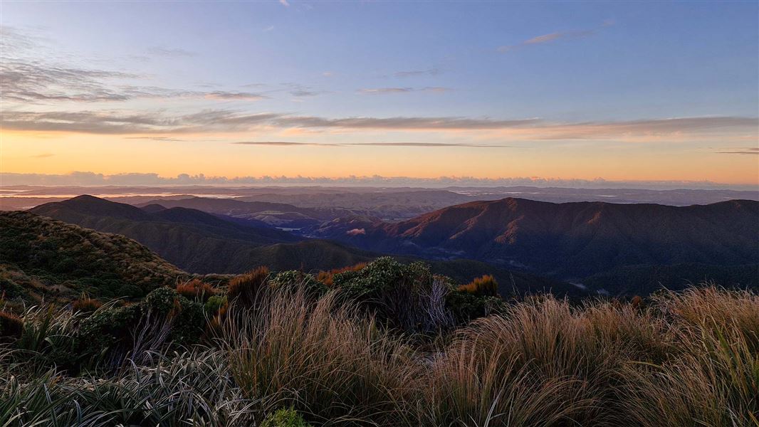 Roaring Stag Hut to Cattle Ridge Track: Tararua Forest Park