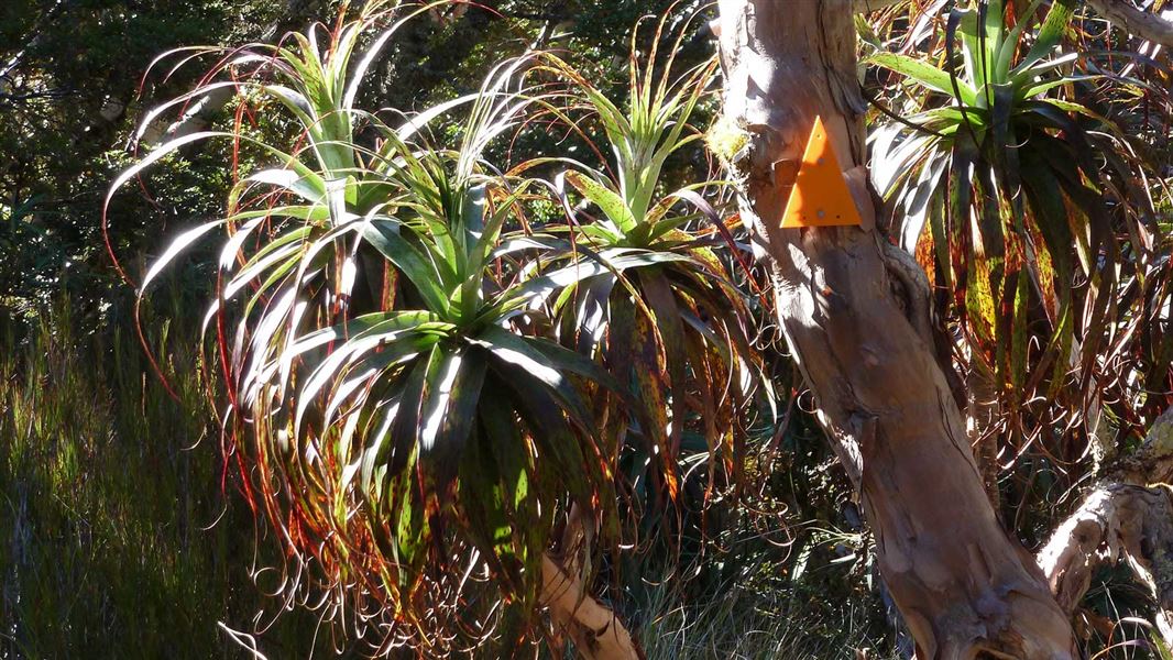 Maps and data: Our work