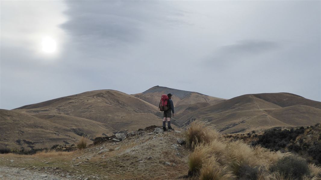 Mount Buster 4WD Track: Oteake Conservation Park, Canterbury region