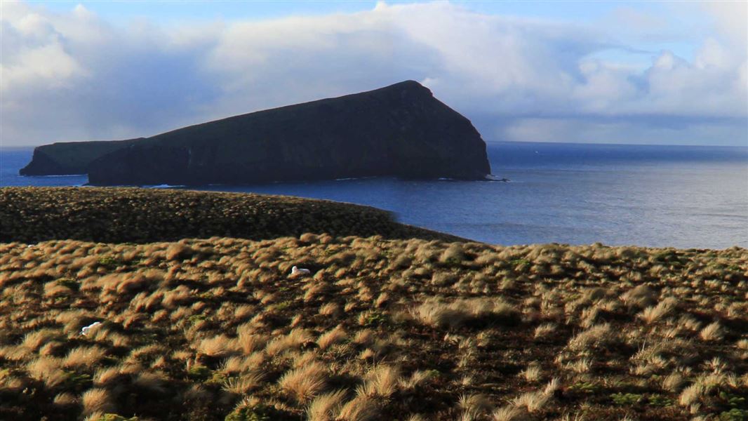 Archaeology of the Antipodes Islands: Heritage publications