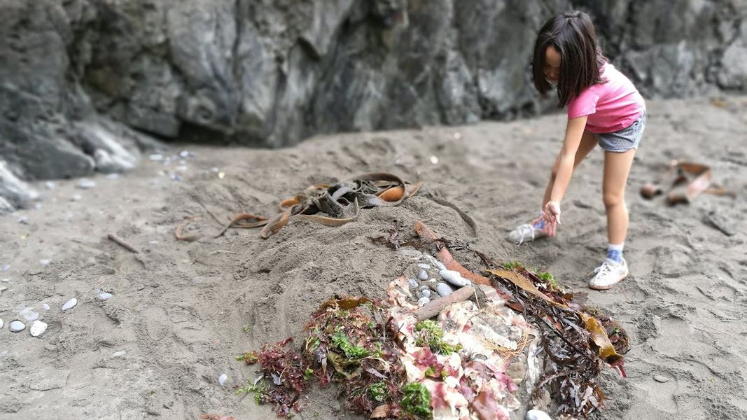 Conservation activities: Get involved